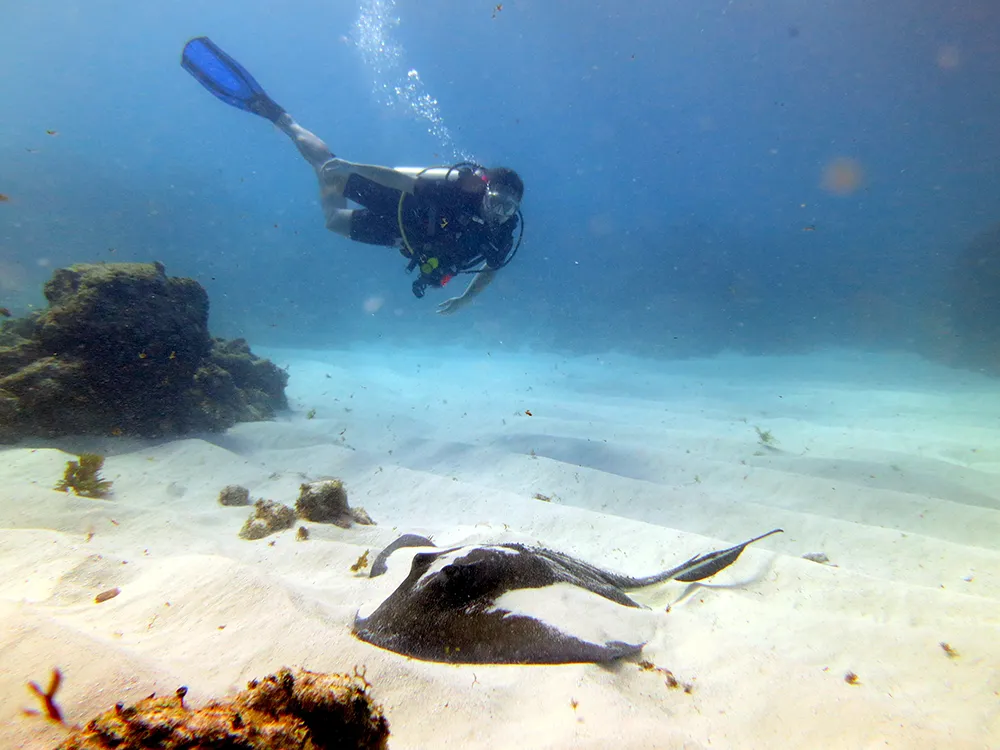 Corn Island A Scuba Diving Destination Corn Island A Scuba Diving Destination